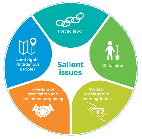 Modern Slavery and human trafficking statement - General Mills